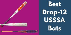 Best drop-12 USSSA Bats: The Top 7 Choices For 2023 - Baseballruler