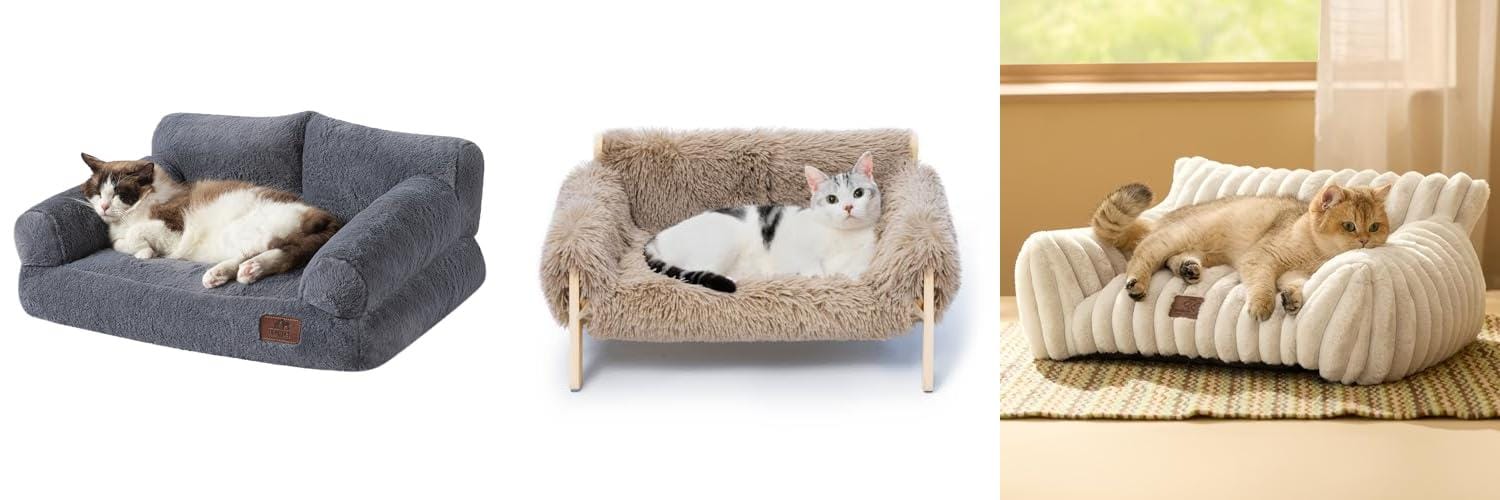 Top 5 Sofa For Cats: Reviews & Buyer's Guide to Cozy Comfort