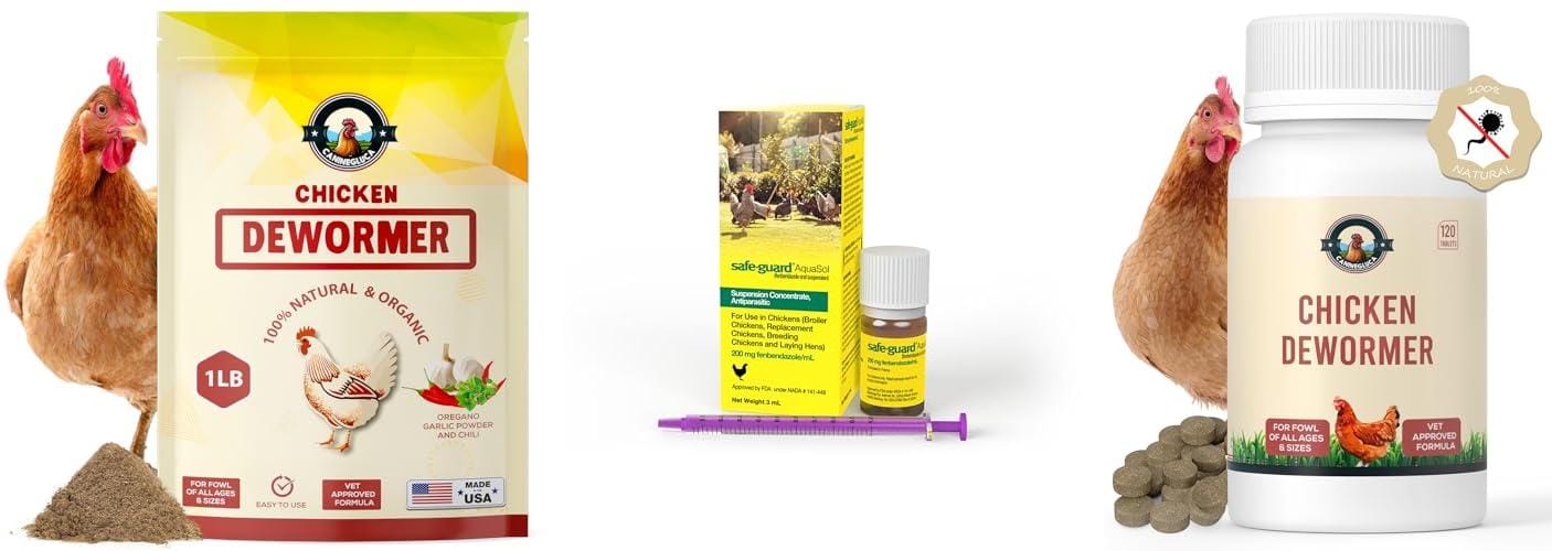 Top 5 Chicken Dewormers: Your Essential Guide