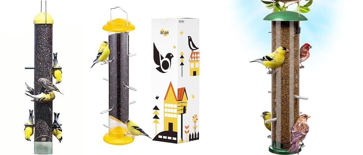 Top 5 Goldfinch Feeders: Attract Beautiful Birds to Your Yard