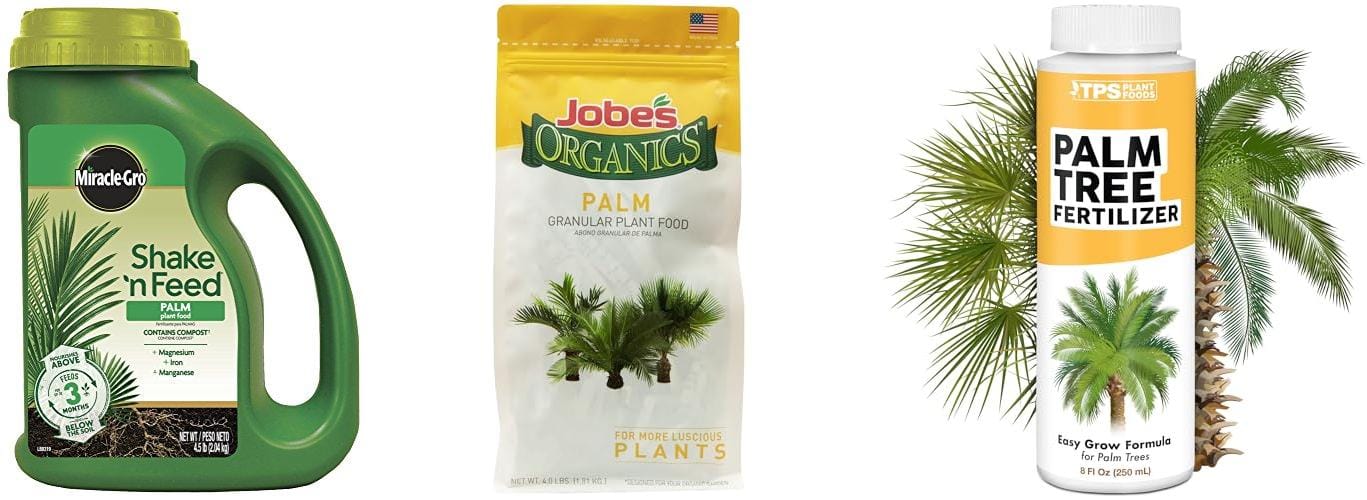 5 Best Palm Tree Fertilizers: Reviews & Buying Guide for Palms