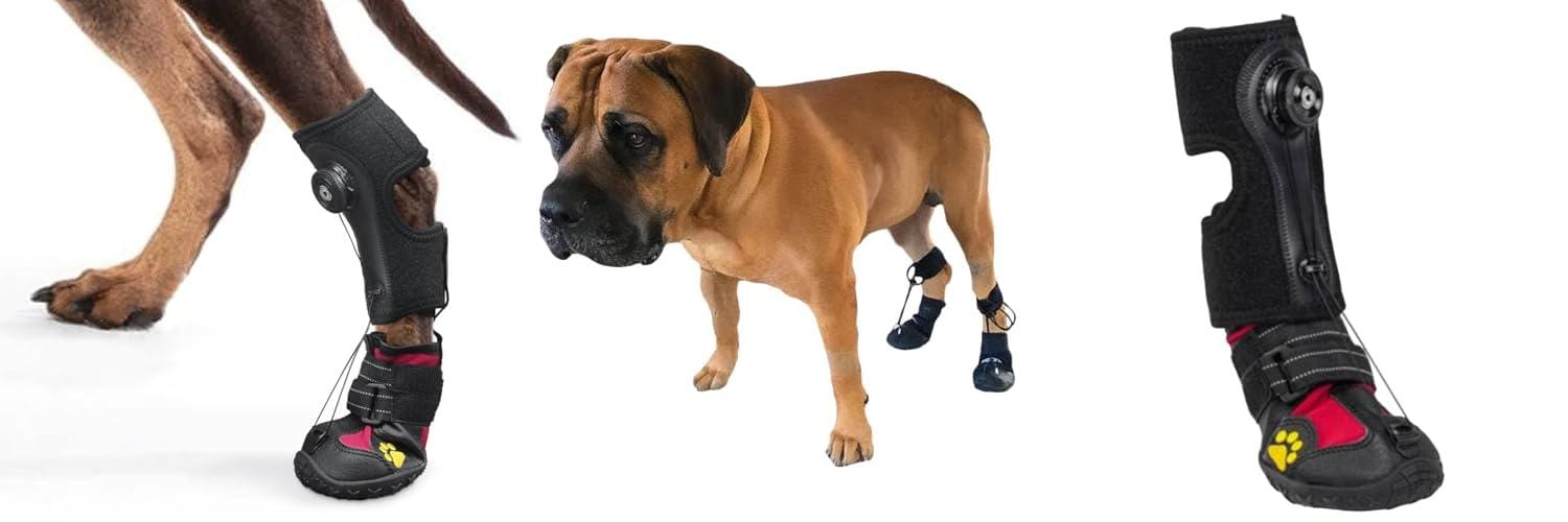 Top 5 Dog Boots for Knuckling: Your Best Guide
