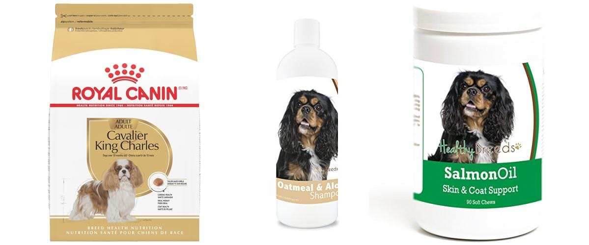 Top 5 Dry Foods for Cavaliers: A Buyer's Guide