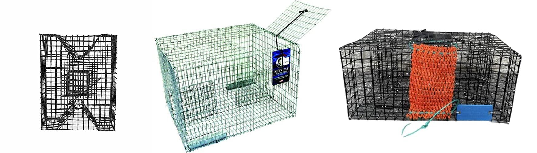Top 5 Pinfish Traps: Your Ultimate Buying Guide