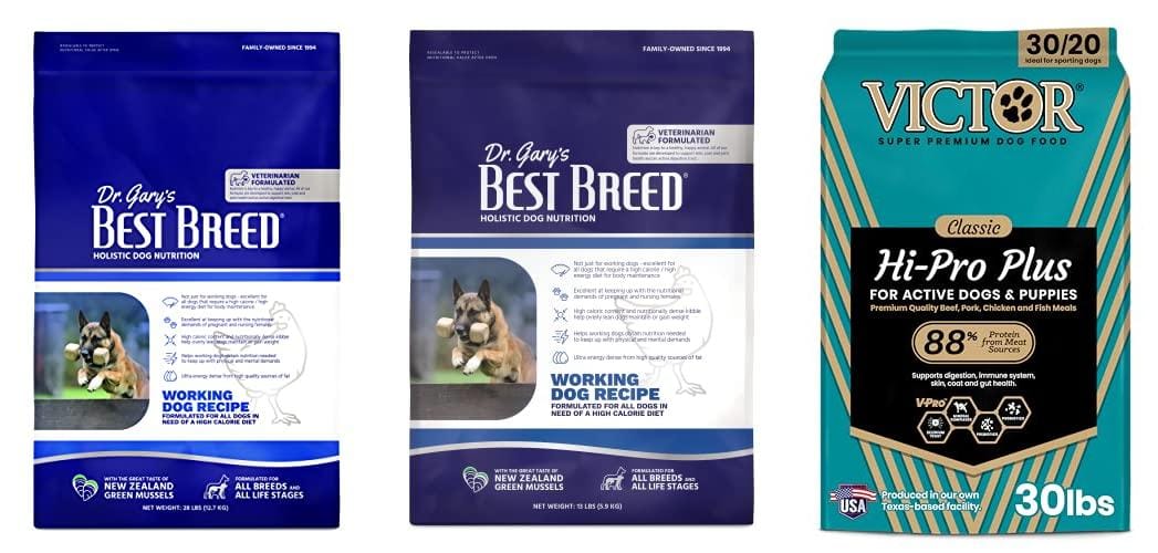 Top 5 Working Dog Foods: Fuel Your Active Pup