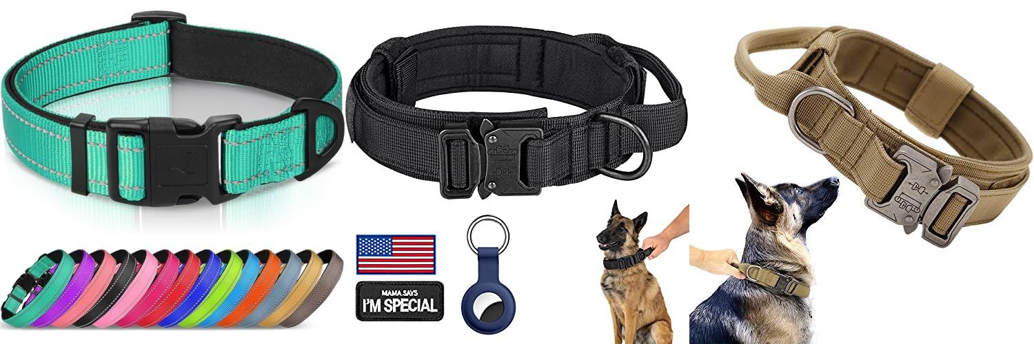 Top 5 Labrador Dog Collars: Your Ultimate Buying Guide