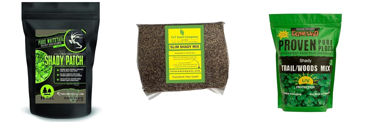 Best Seed For Shady Food Plots - Top 5 Picks & Review
